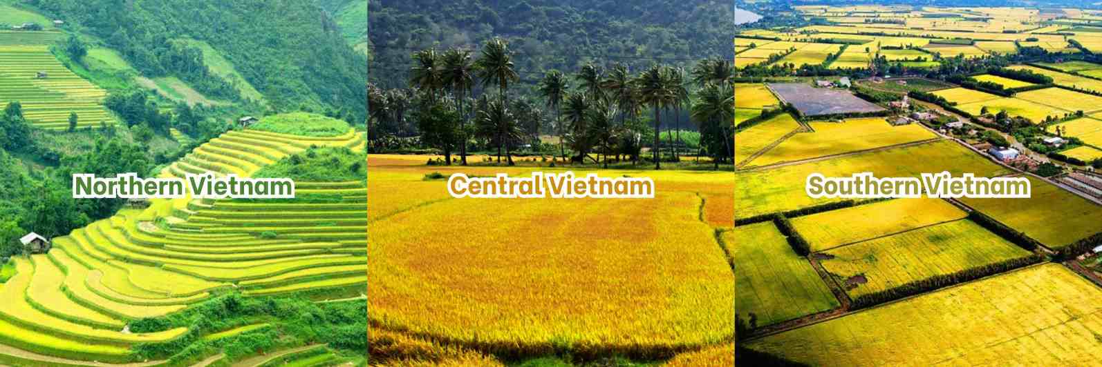 Vietnam Rice Terraces: A Journey Through Nature’s Masterpiece｜
